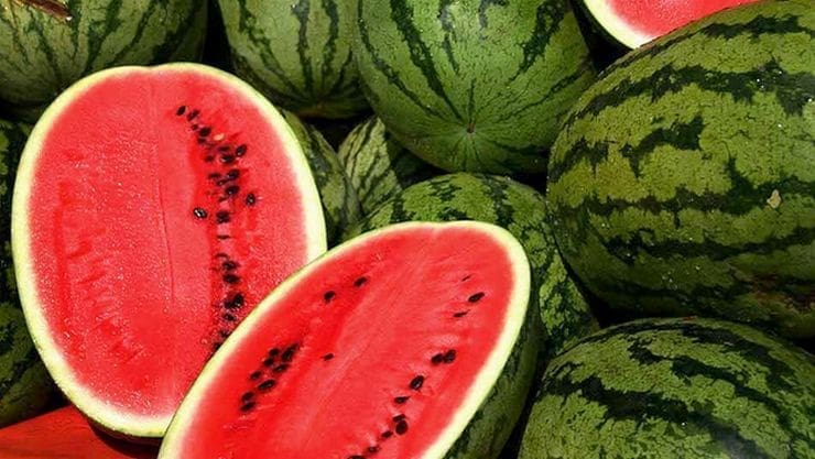 உடல் சூட்டை குறைக்கும் பழங்களில் முதன்மையான தர்பூசணி! | Tamilstar