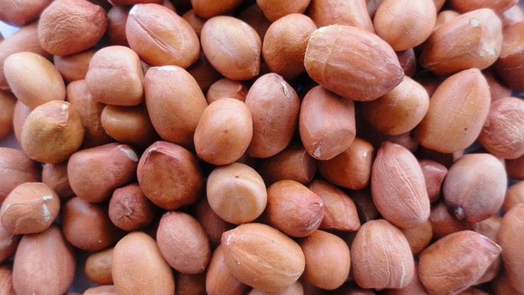 நிலக்கடலையில் நிறைந்துள்ள சத்துக்களும் பலன்களும் ! | Tamilstar