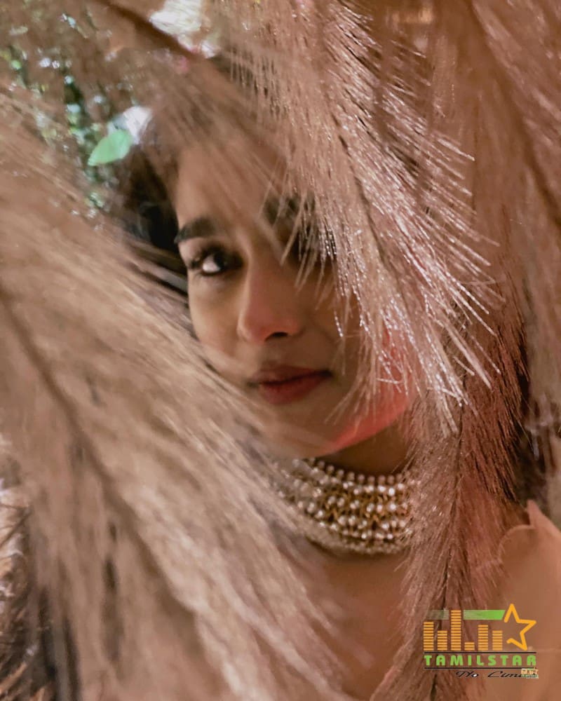 Actress Shalini Pandey Latest Photos - Tamilstar