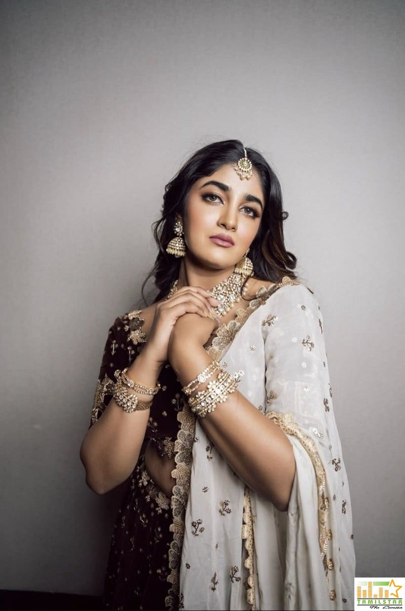 Actress DimpleHayathi Latest Photos - Tamilstar