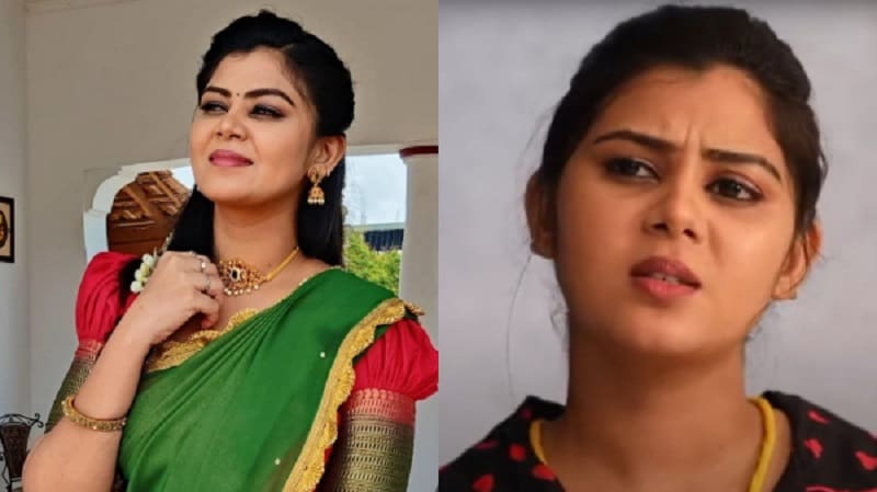 மாடர்ன் உடையில் கலக்கும் சிறகடிக்க ஆசை சீரியல் நடிகை ஸ்ருதி | Tamilstar